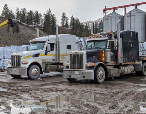 Truck Details | Peterbilt Pacific